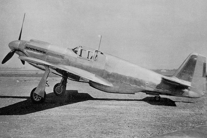 P-51 Mustang Survivors - MustangsMustangs.com